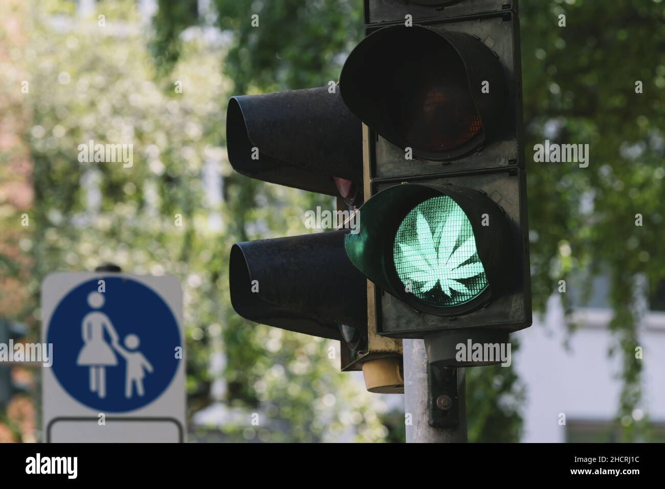 traffic light with green Marijuana or cannabis sign Stock Photo - Alamy