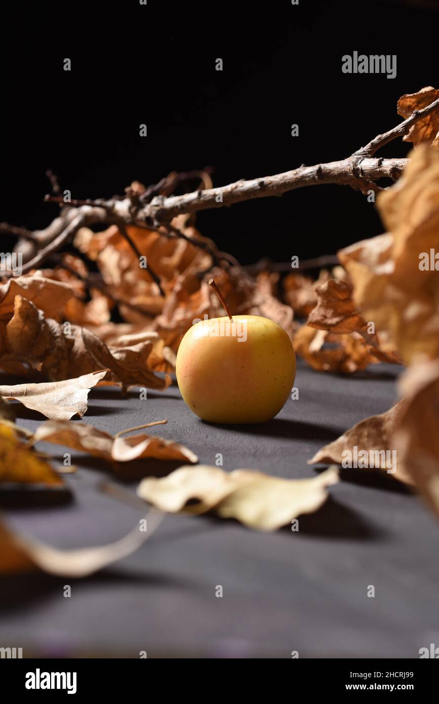 Apple basket maple leaves hi-res stock photography and images - Alamy
