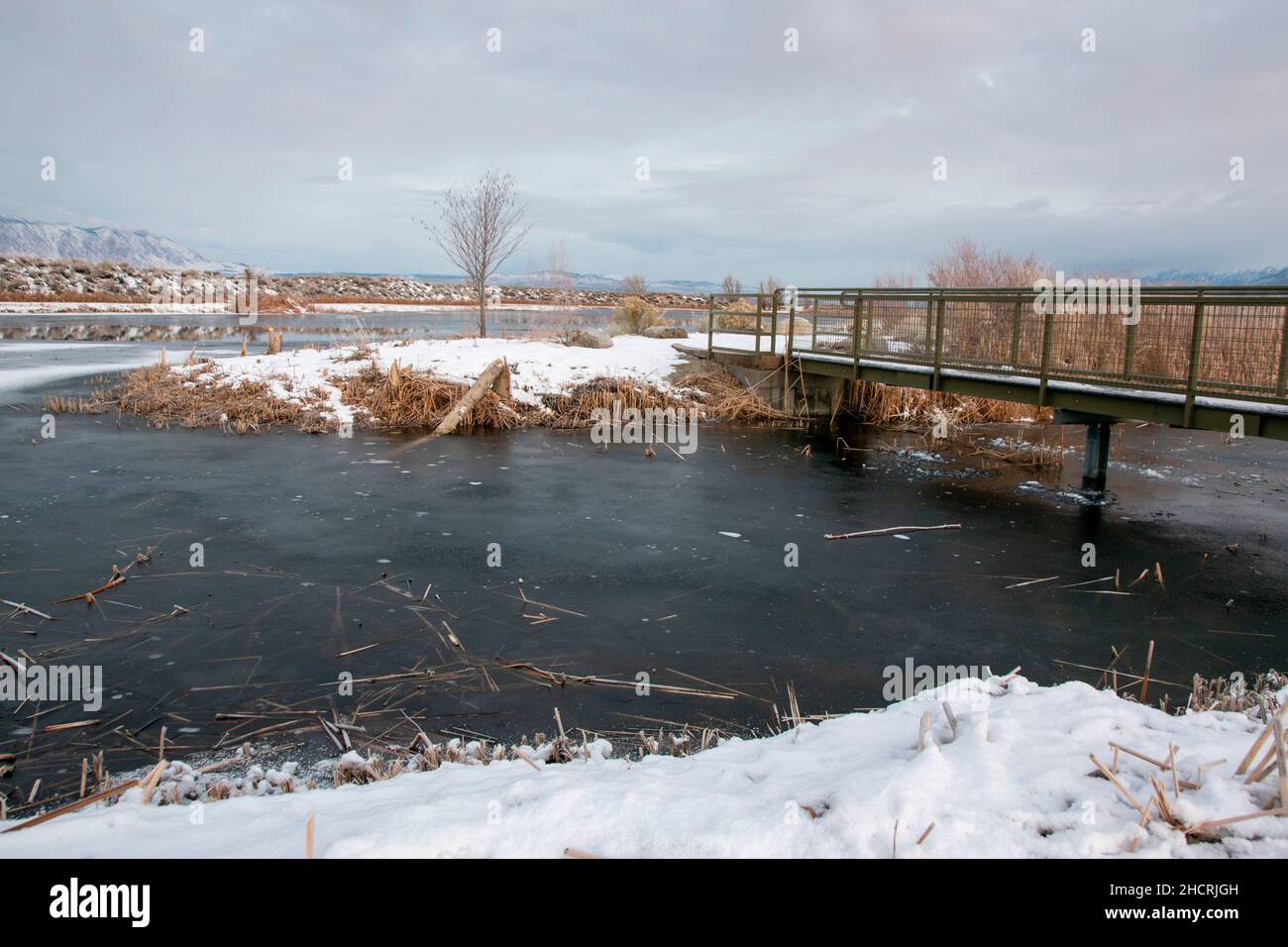 The Eastern Sierra peaks above Bishop, Inyo County, CA, USA light up ...
