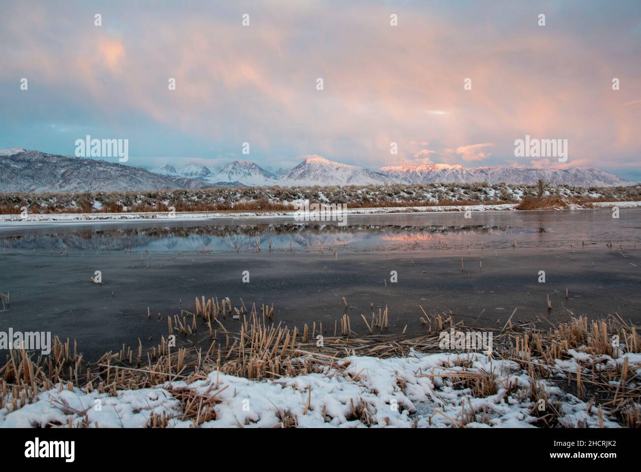 The Eastern Sierra peaks above Bishop, Inyo County, CA, USA light up ...