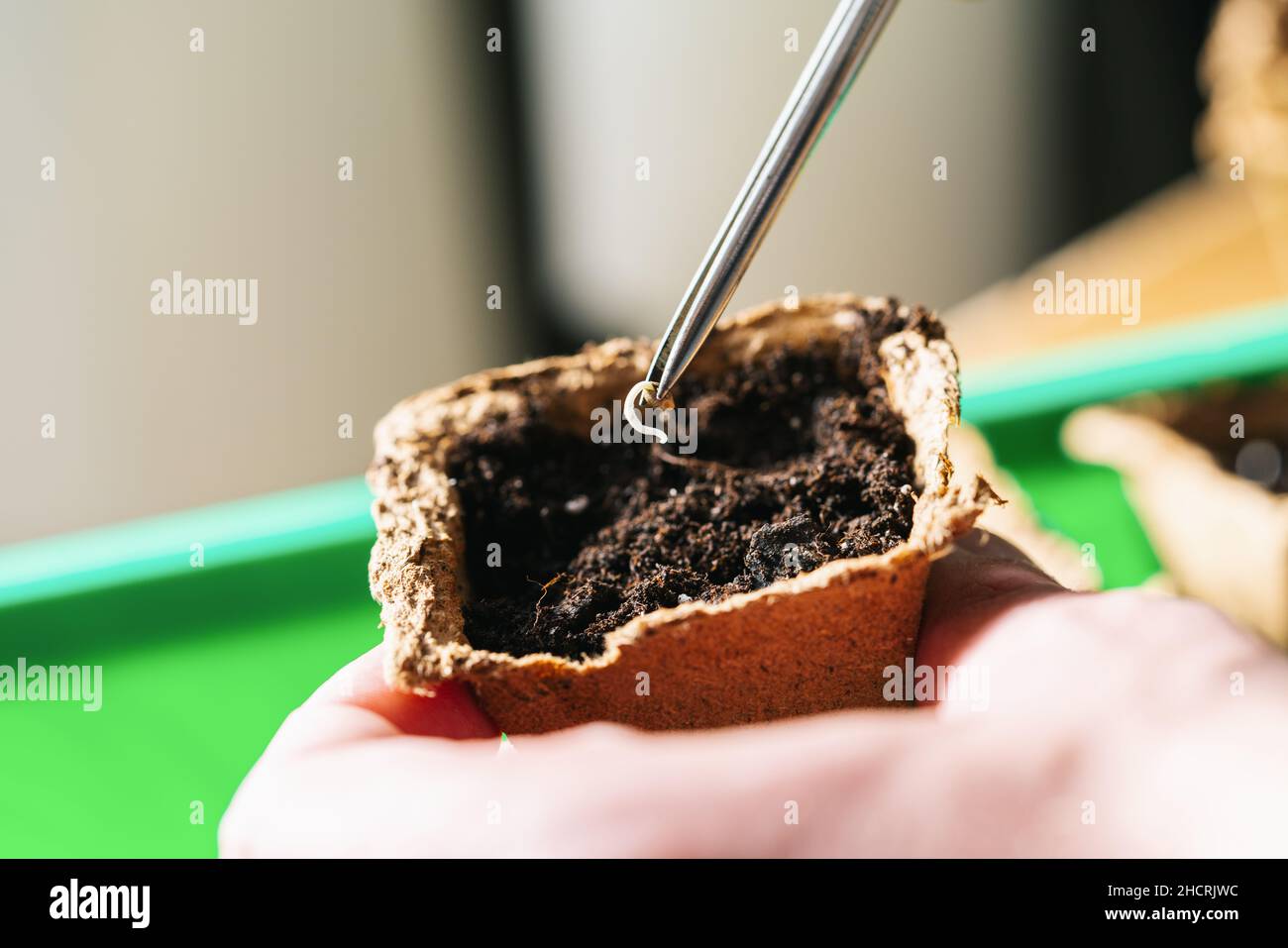 Garden layouts hi-res stock photography and images - Alamy