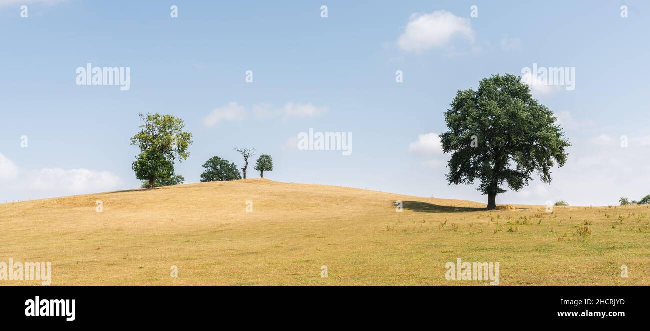 andscape with trees on hills and beautiful mountains Stock Photo - Alamy