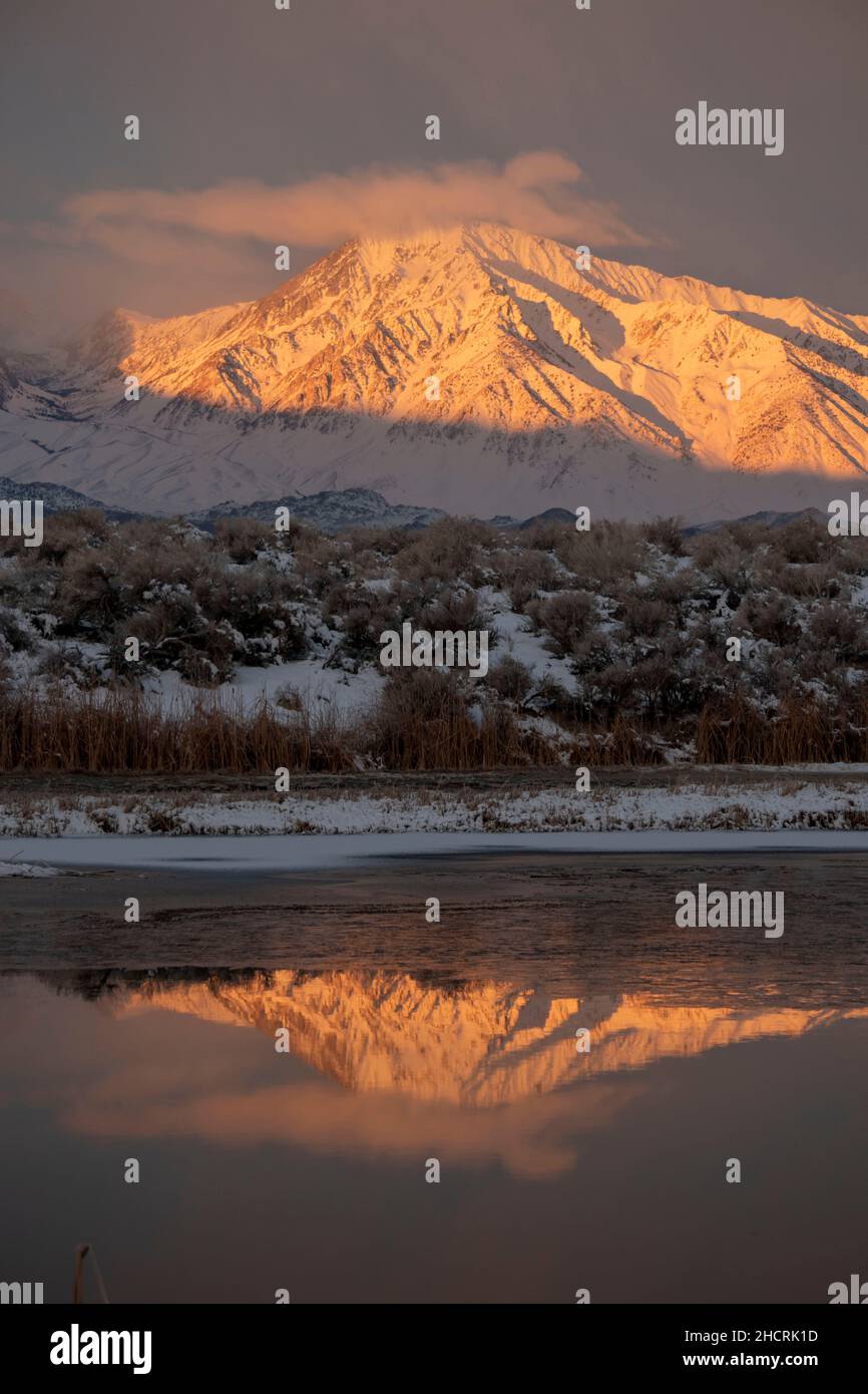 The Eastern Sierra peaks above Bishop, Inyo County, CA, USA light up ...