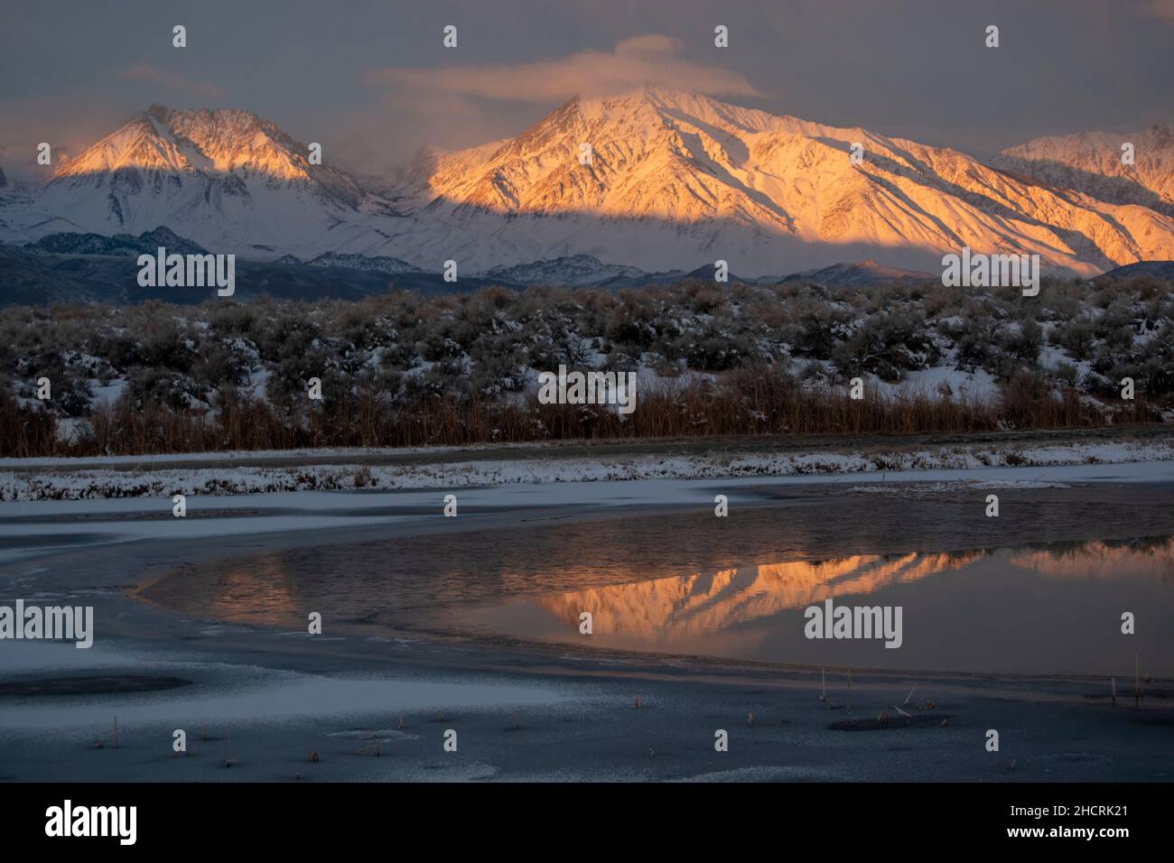 The Eastern Sierra peaks above Bishop, Inyo County, CA, USA light up ...