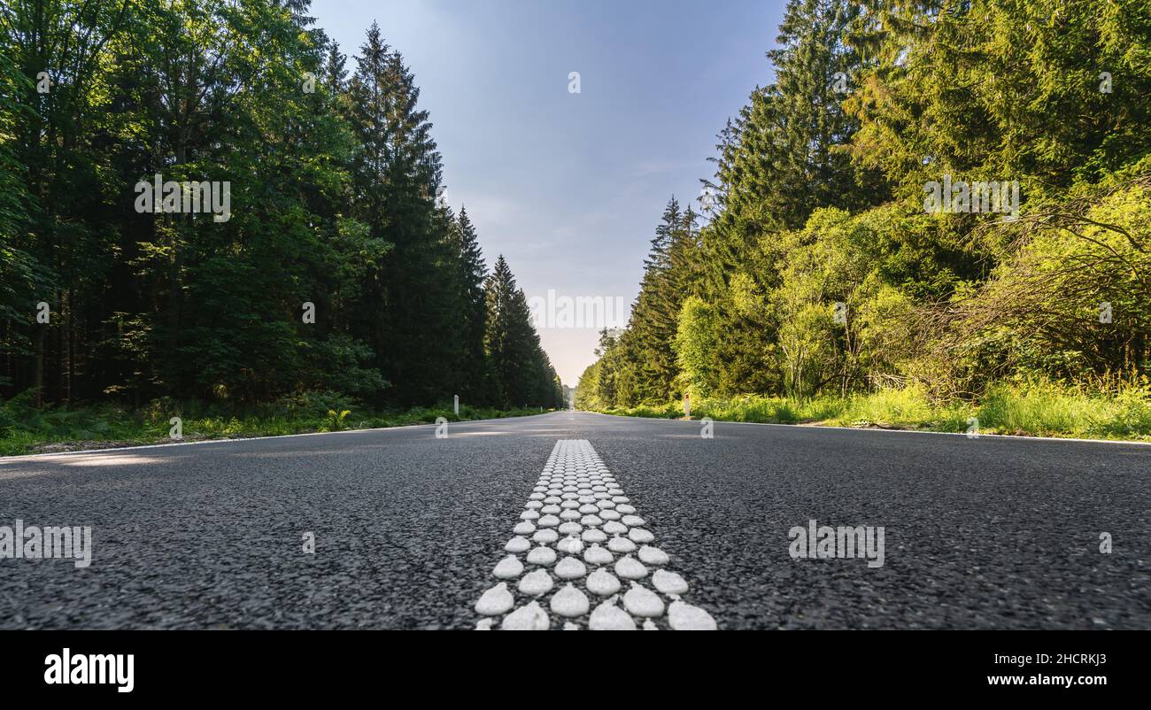 road in forest Stock Photo - Alamy