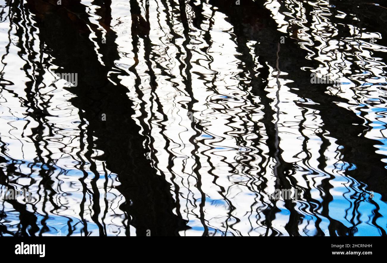 Wiggly trees hi-res stock photography and images - Alamy