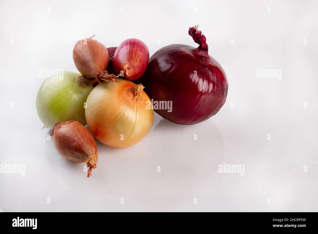 Three Different kinds of Onions on a white Backround Stock Photo - Alamy