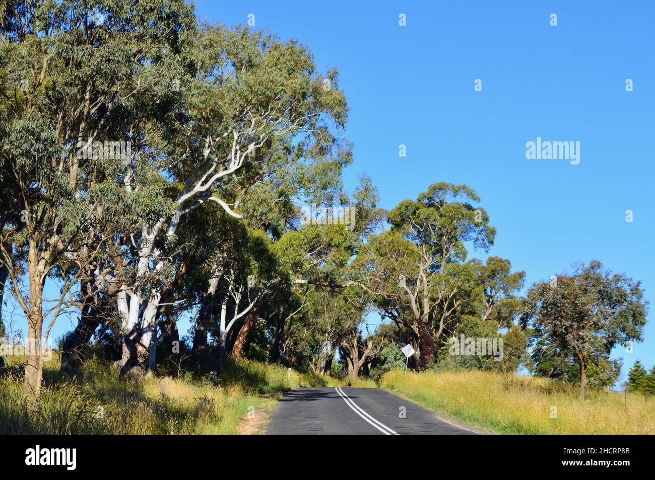 Australian bitumen road hi-res stock photography and images - Alamy