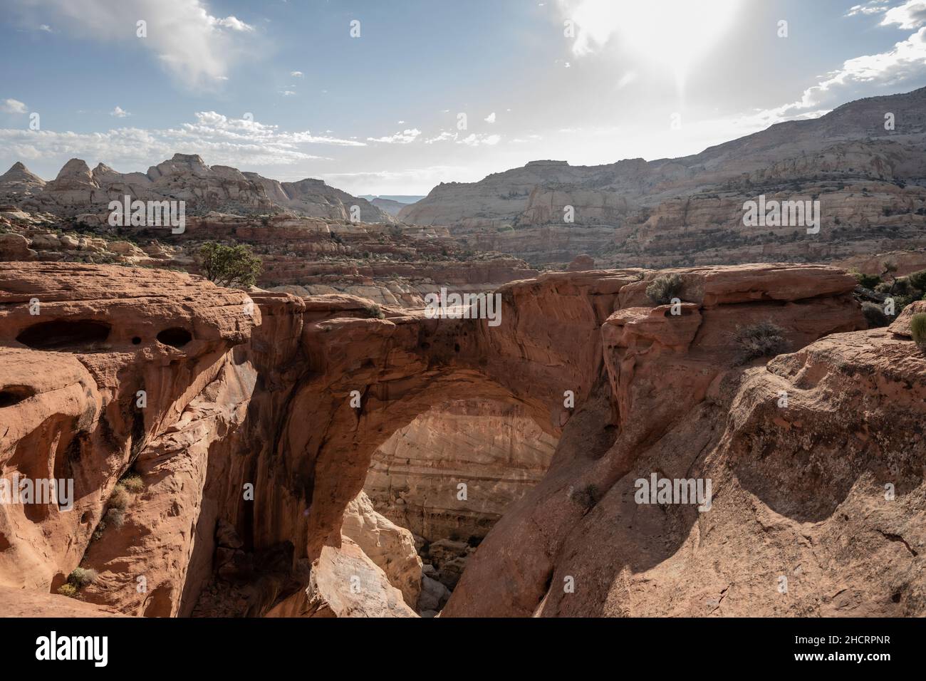 Woman Looks Over Cassidy Arch in Capitol Reef National Park Stock Photo ...