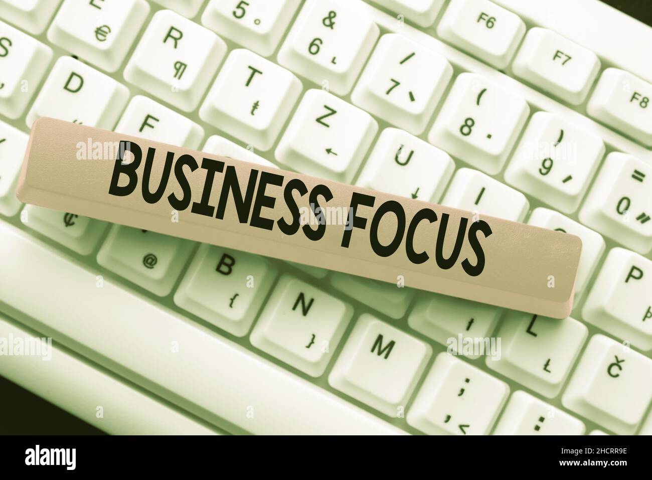 Text showing inspiration Business Focus. Business overview Serving the ...