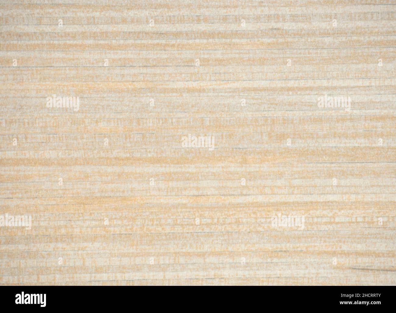 Natural birch, a flat surface of light wood with a close-up textured ...