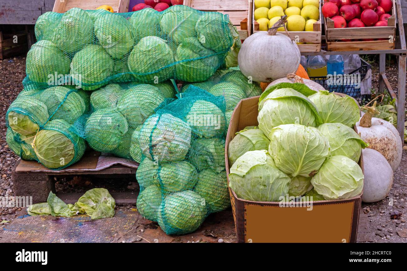 Pile of raw organic cabbage and apples in crates sold on outdoors ...