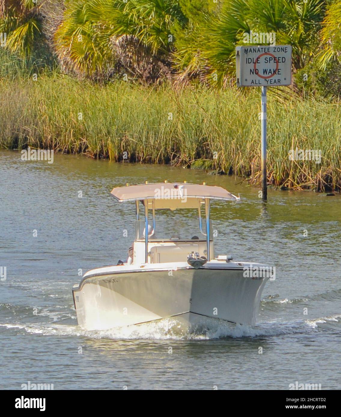 Crystal River has natural springs feeding it. Crystal River Preserve ...