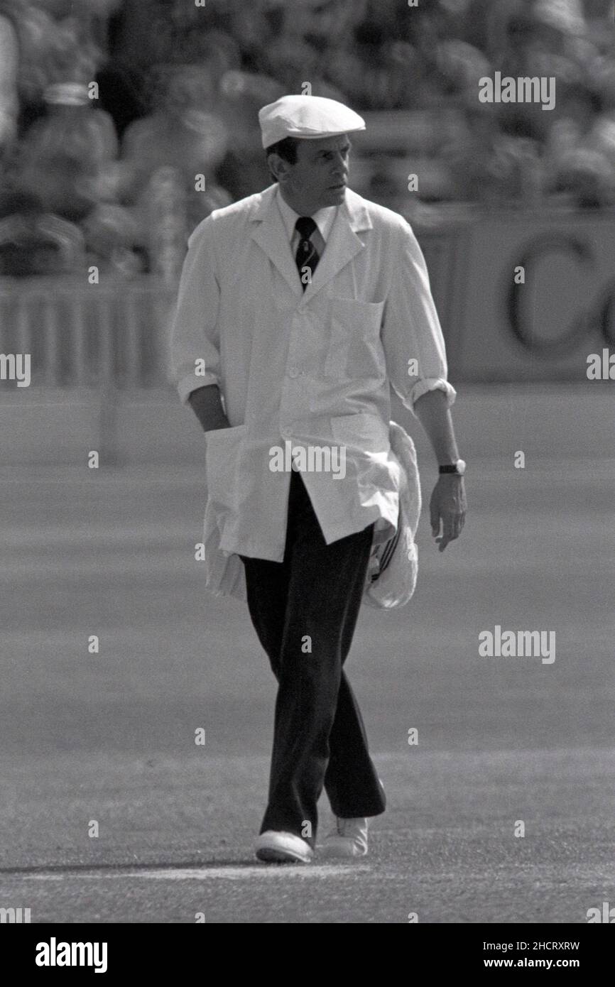 H d bird hi-res stock photography and images - Alamy