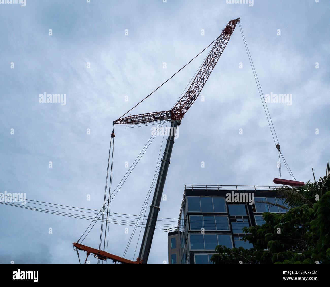 Crane lifting timber hi-res stock photography and images - Alamy
