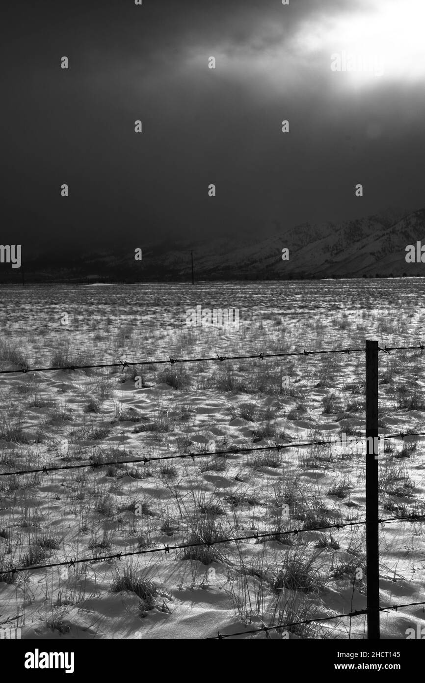 Austere field hi-res stock photography and images - Alamy