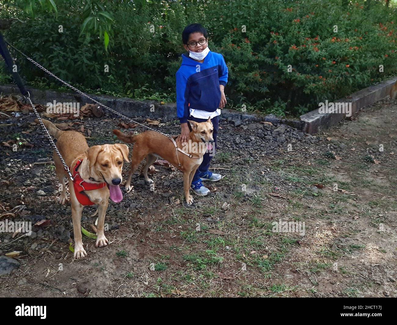 Young owner with his pet and stray dogs Stock Photo - Alamy