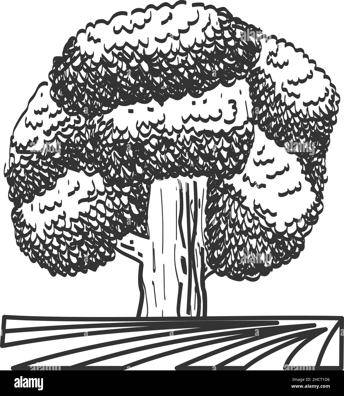 Oak tree Farm Icon Illustration Brand Identity Stock Vector Image & Art ...