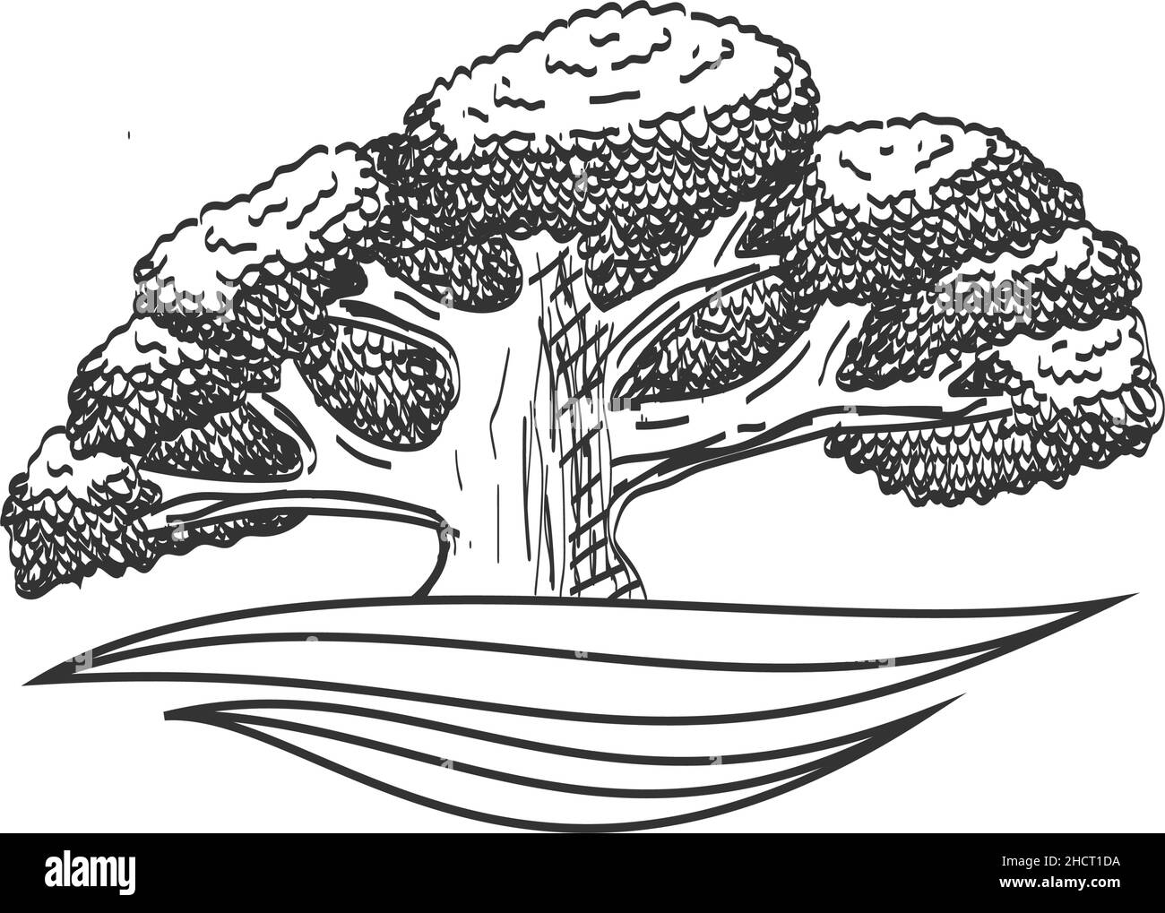 Oak tree Farm Icon Illustration Brand Identity Stock Vector Image & Art ...