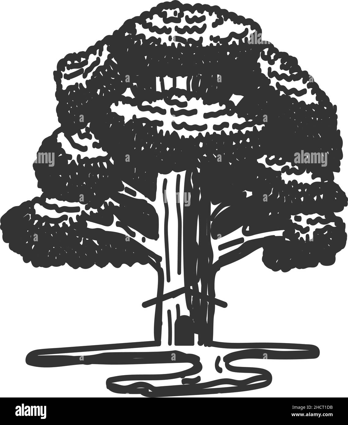 Oak Tree Roots Clip Art