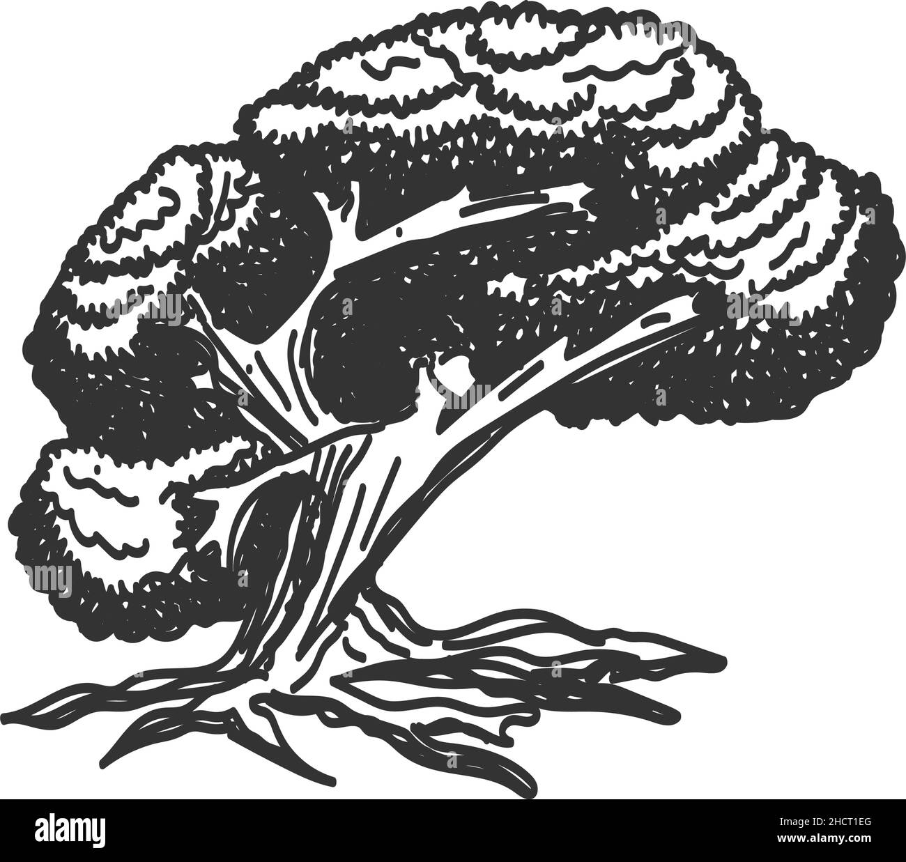 Oak Tree Woman Icon Illustration Brand Identity Stock Vector Image ...