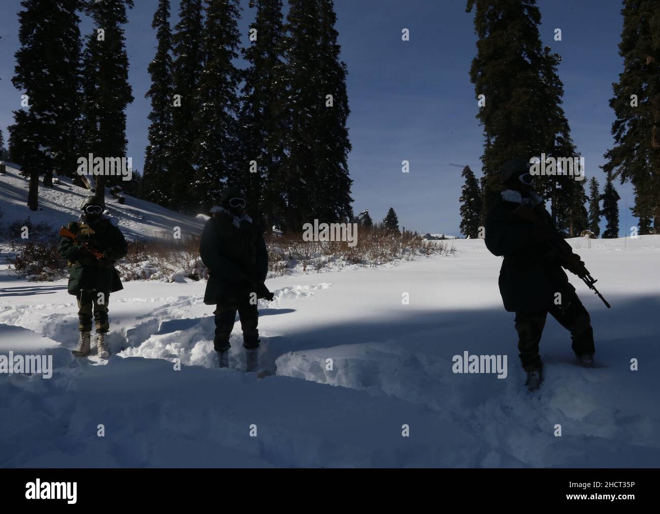 Performing border control hi-res stock photography and images - Alamy