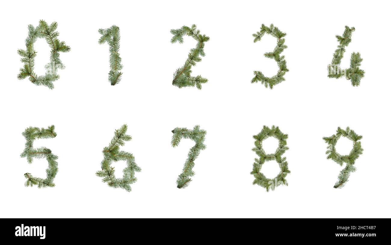 Numbers made of beautiful fir tree branches on white background Stock ...