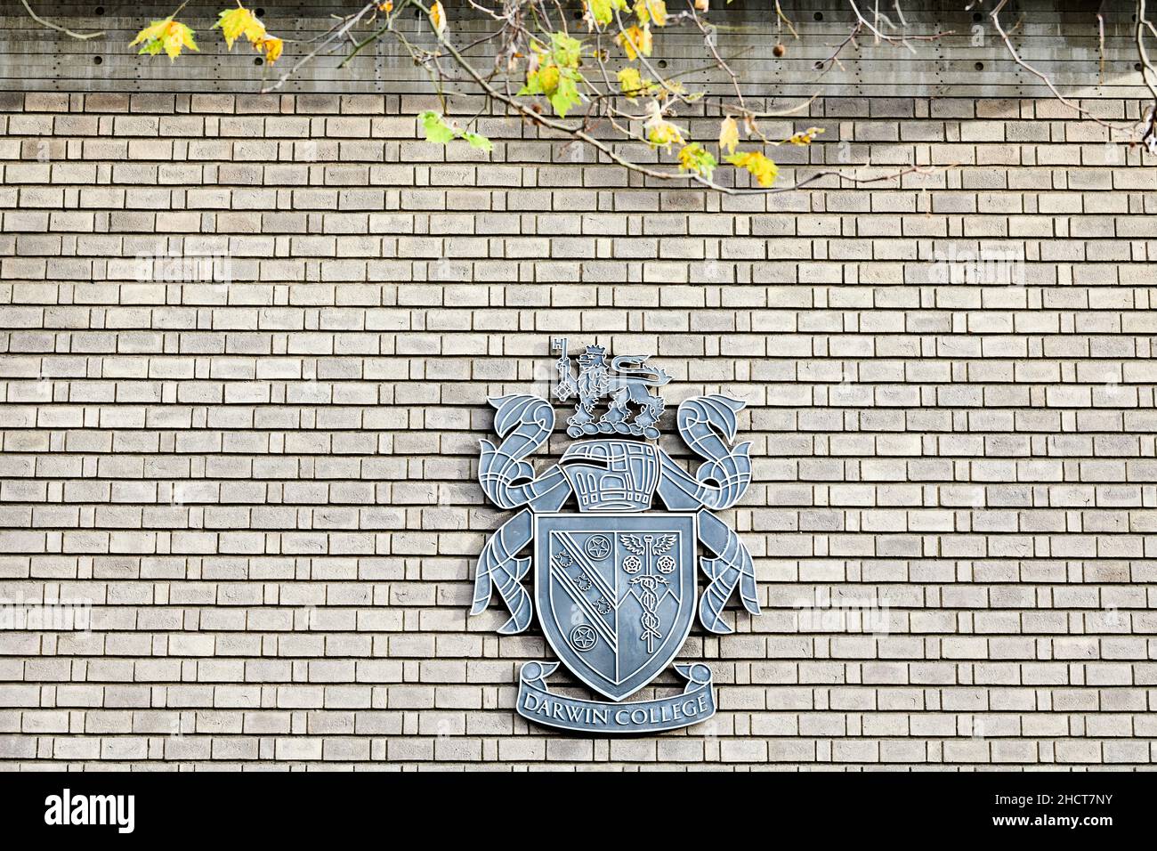 The badge of Darwin college, university of Cambridge, England, on one ...