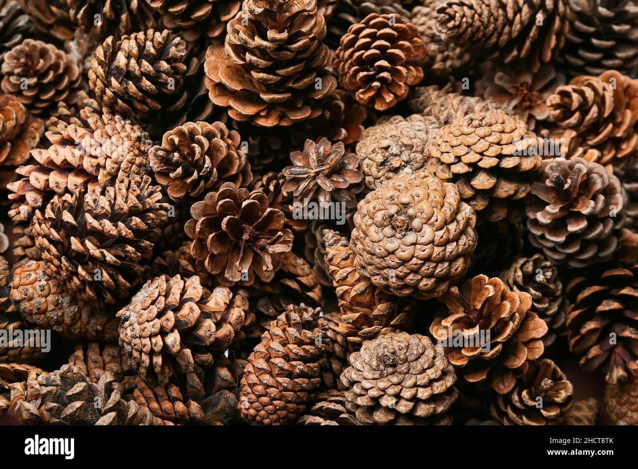 Many pine cones as background, closeup Stock Photo - Alamy