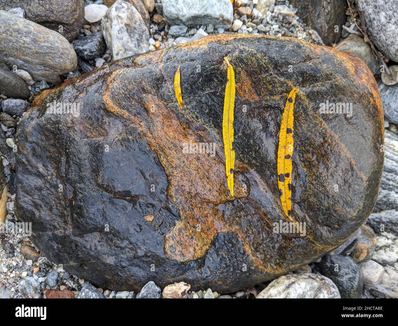 Gold stone hi-res stock photography and images - Alamy