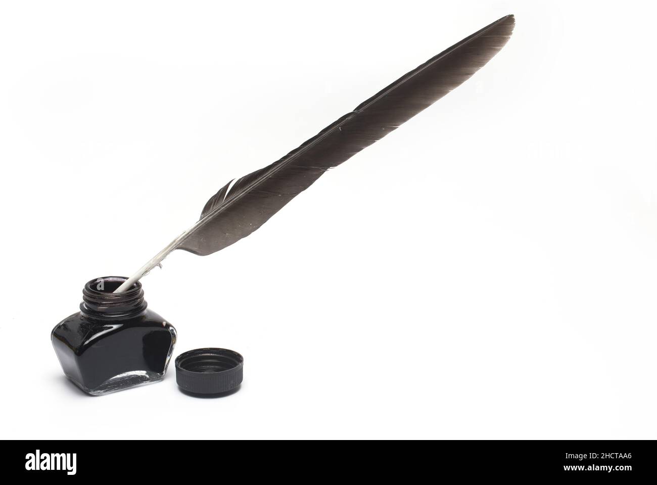 Close up of natural bird feather used as fountain pen for writing with ...