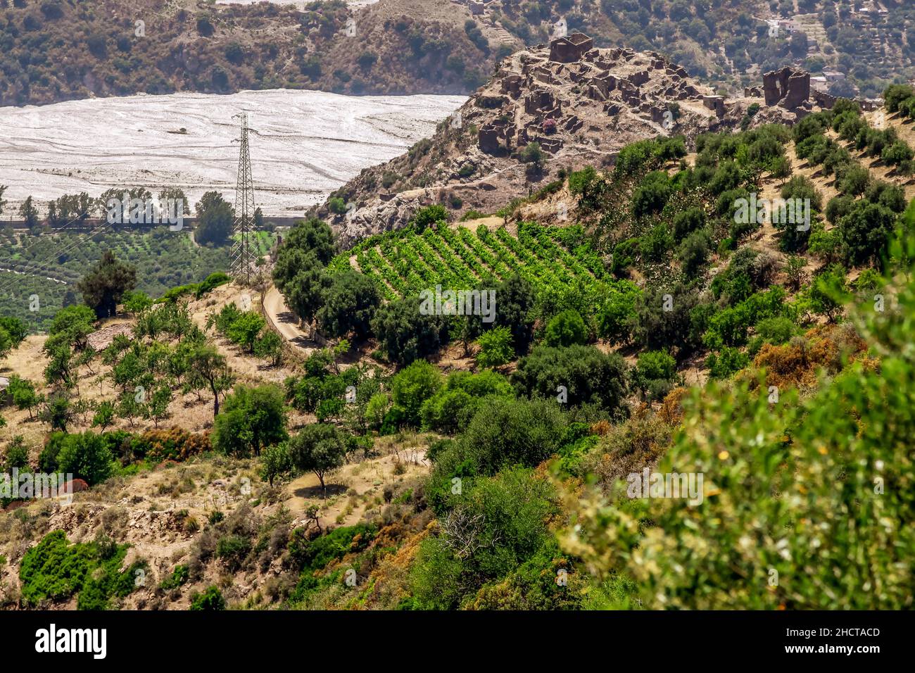Amazing scenery of Calabrian hills with roads and olive trees visible ...