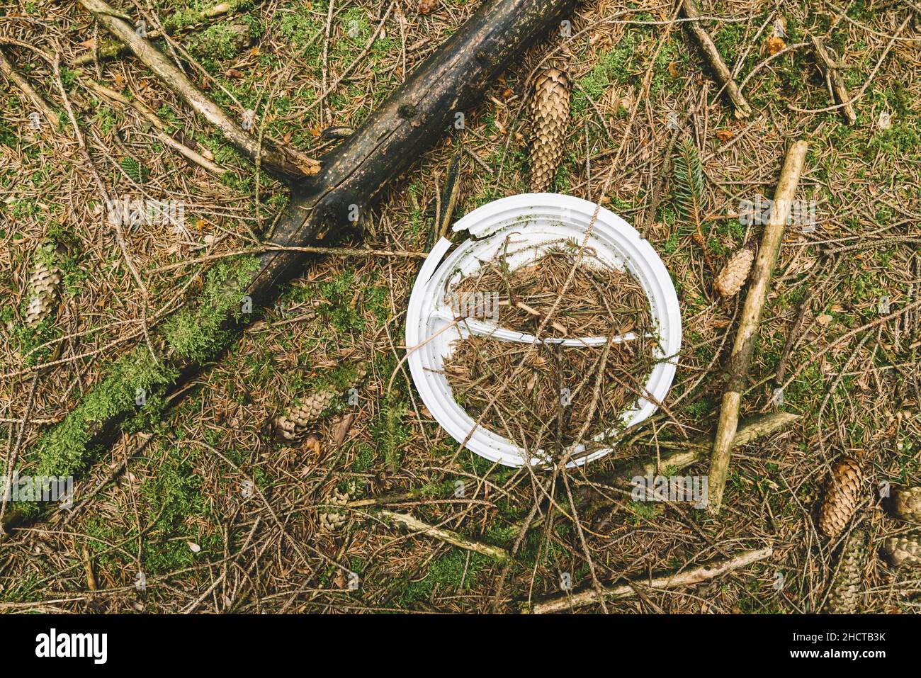 plastic Plate rotted in the forest, pollution and Environment concept ...