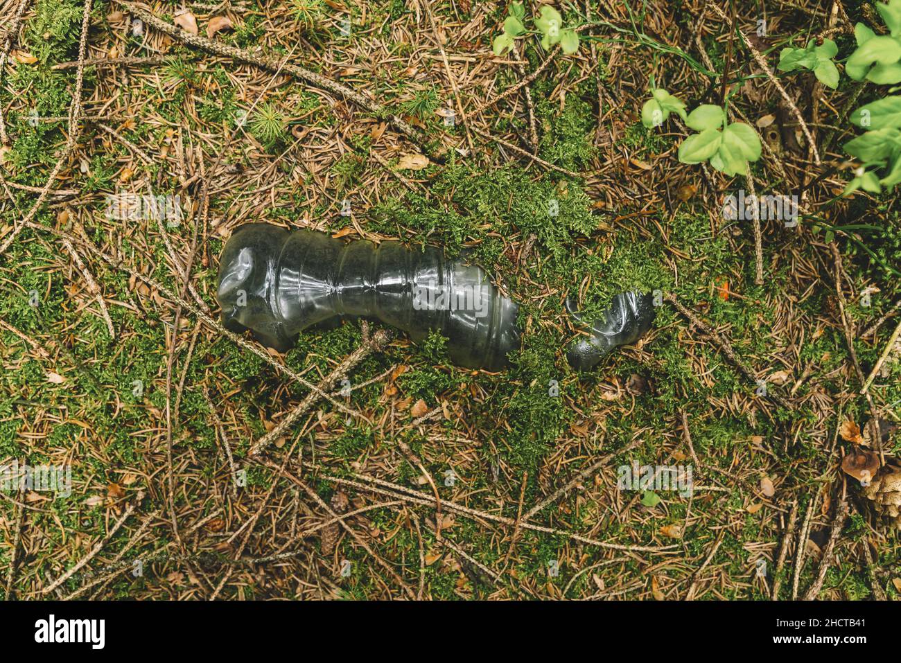plastic bottle rotted in the forest, pollution and Environment concept ...