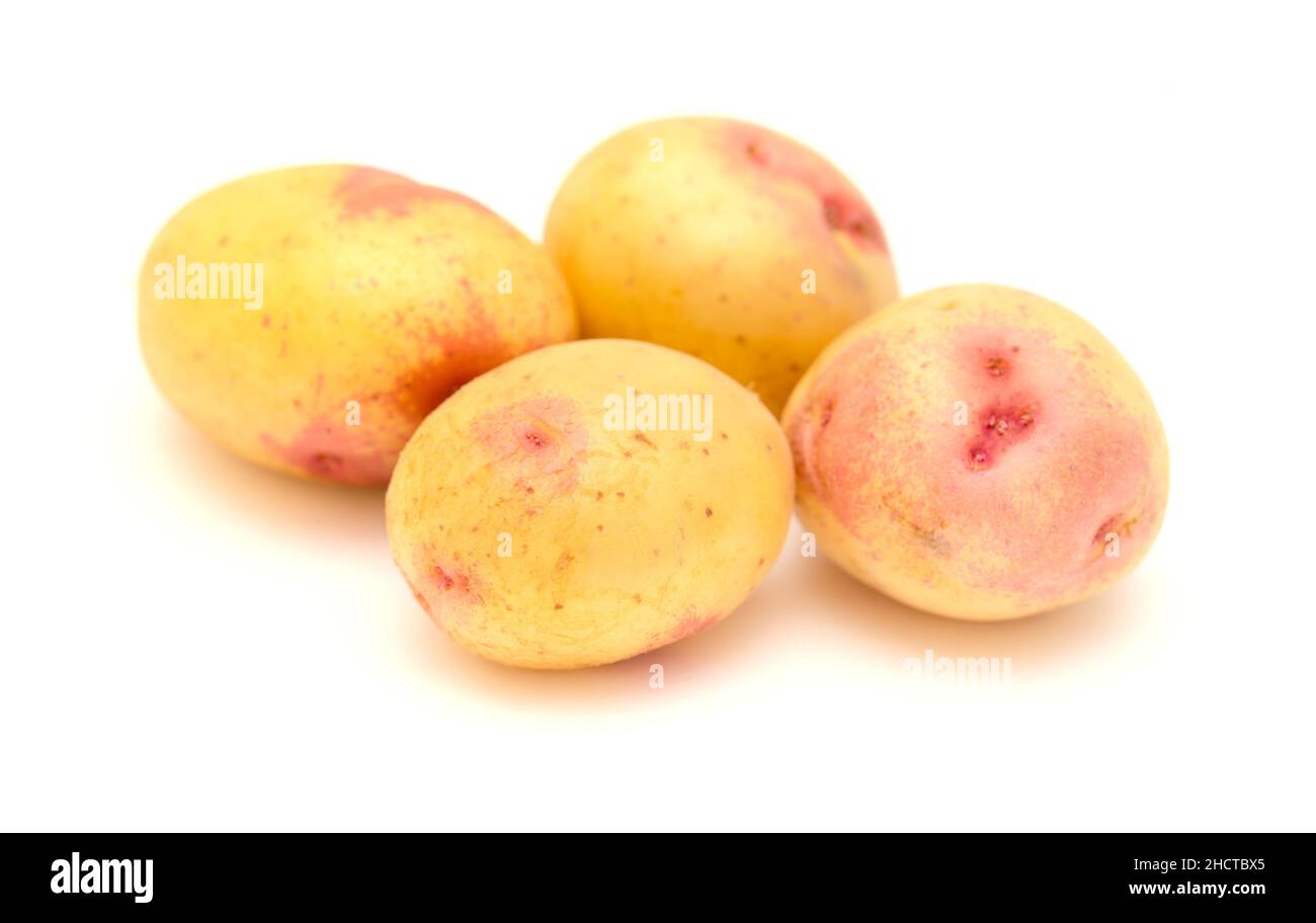 Small new potatoes with pink coloration isolated on white background ...