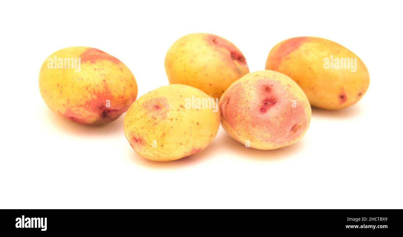 Small new potatoes with pink coloration isolated on white background ...