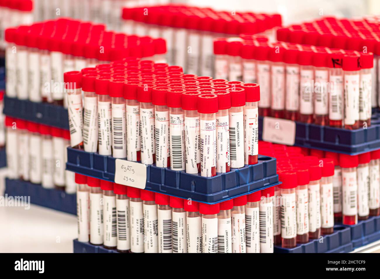 Real molecular PCR test tubes in a row, nasal and oropharyngeal swabs ...
