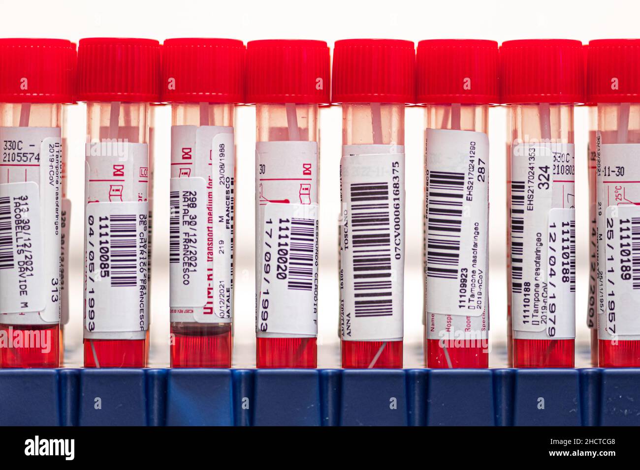 Real molecular PCR test tubes in a row, nasal and oropharyngeal swabs ...