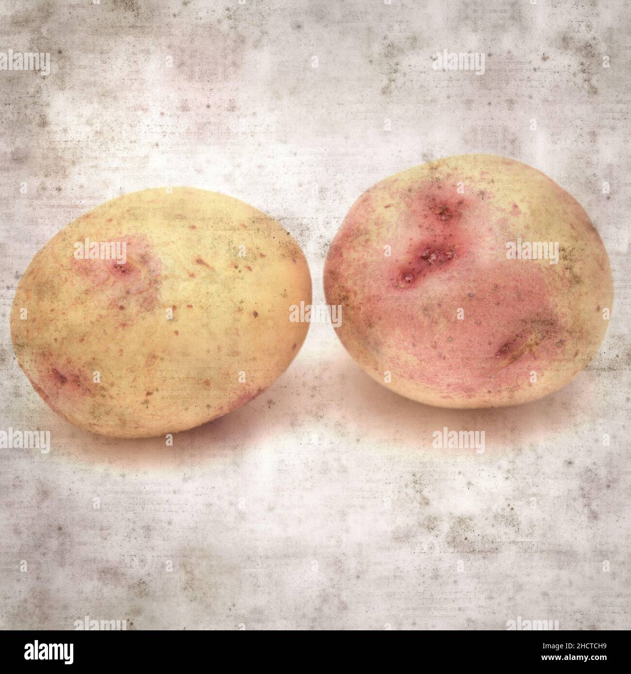 square stylish old textured paper background with new potatoes from ...