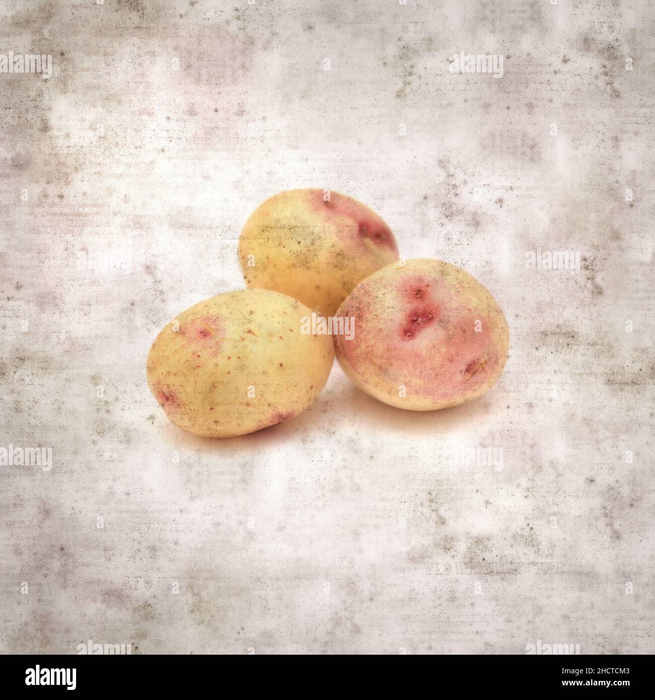 square stylish old textured paper background with new potatoes from ...