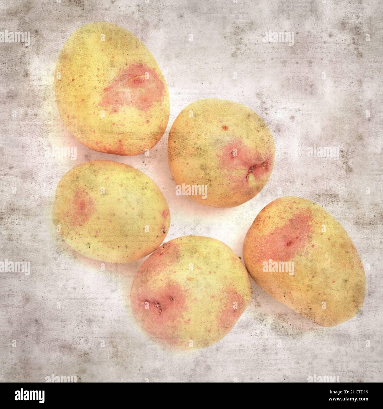 square stylish old textured paper background with new potatoes from ...