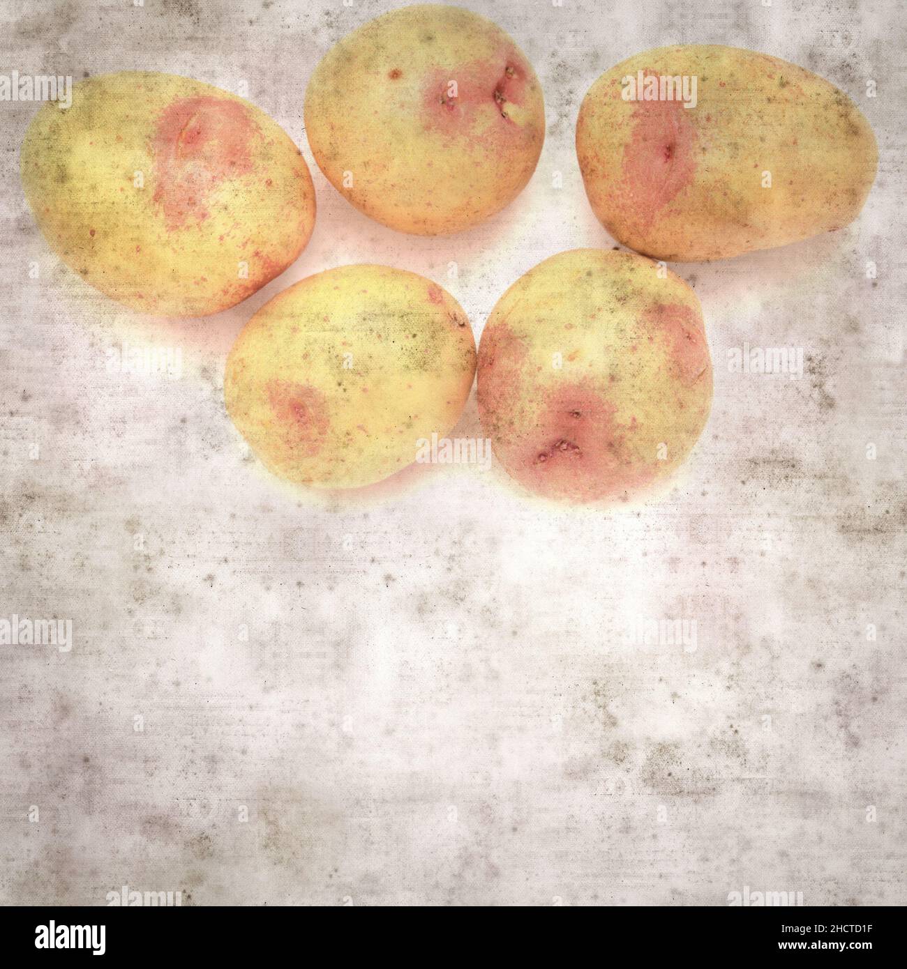 square stylish old textured paper background with new potatoes from ...