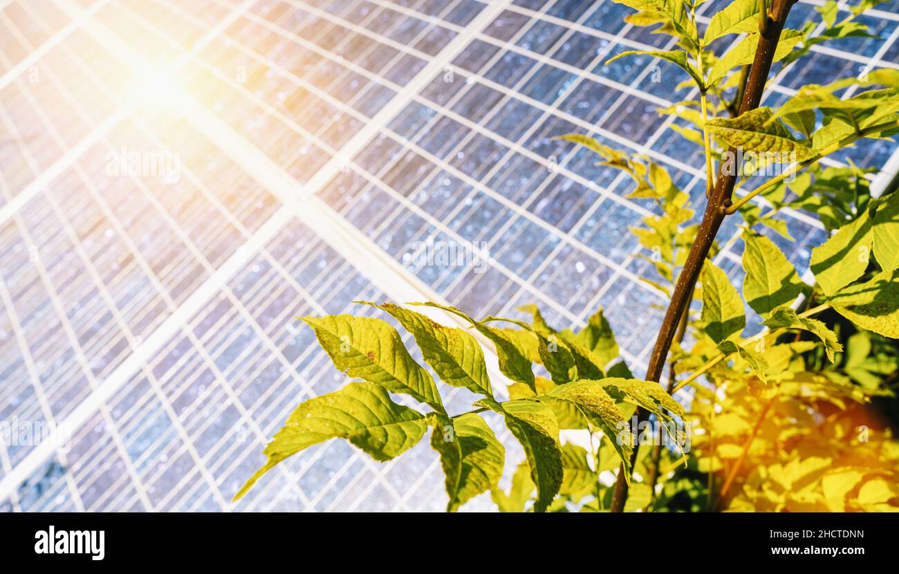 photovoltaic solar power panel background, green clean Alternative ...