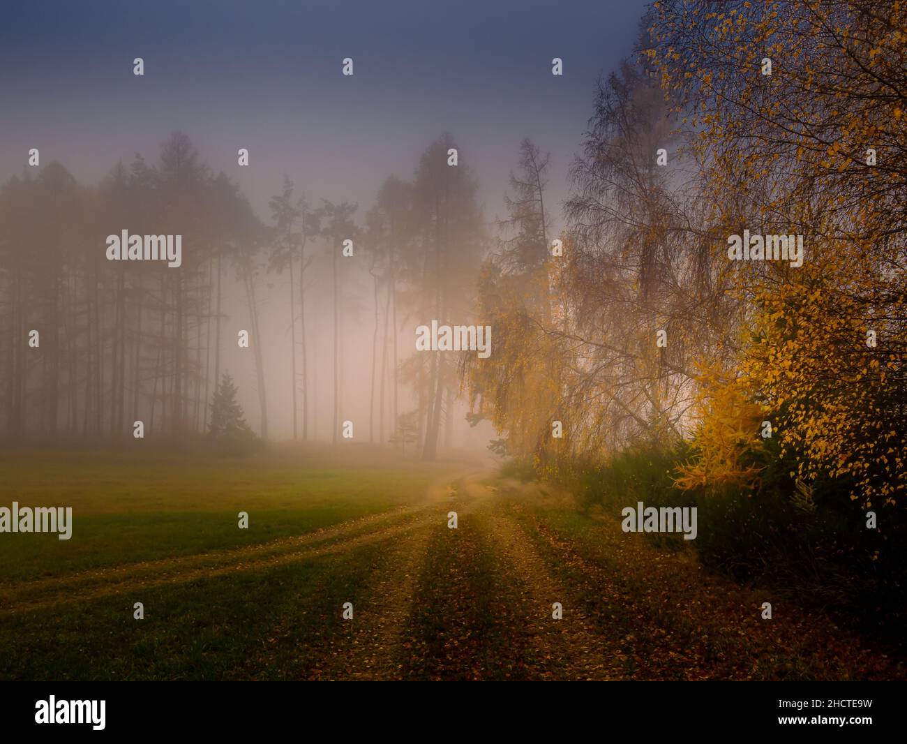 Magical foggy gloomy landscape hi-res stock photography and images - Alamy