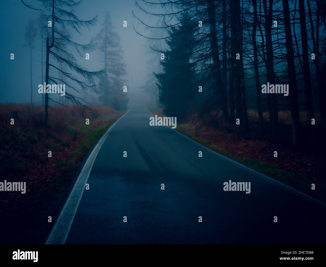 Asphalt road during foggy conditions, bad weather, fog, line, trees ...