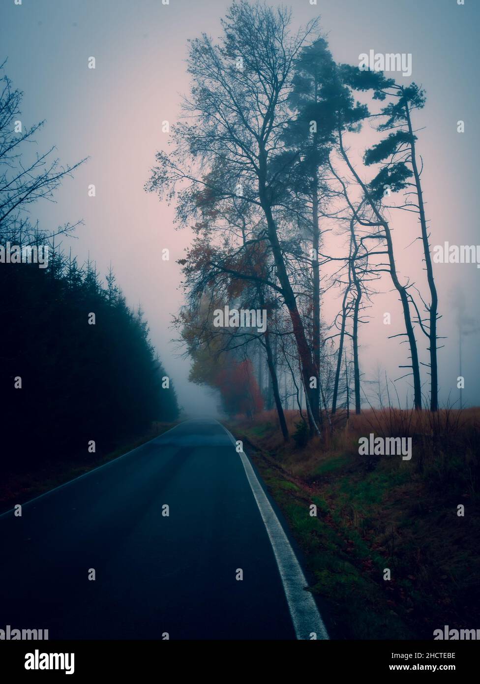 Asphalt road during foggy conditions, bad weather, fog, line, trees ...