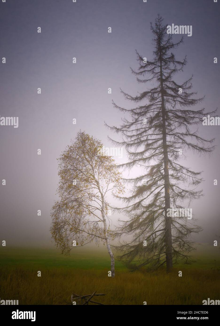 Gloomy fog hi-res stock photography and images - Alamy