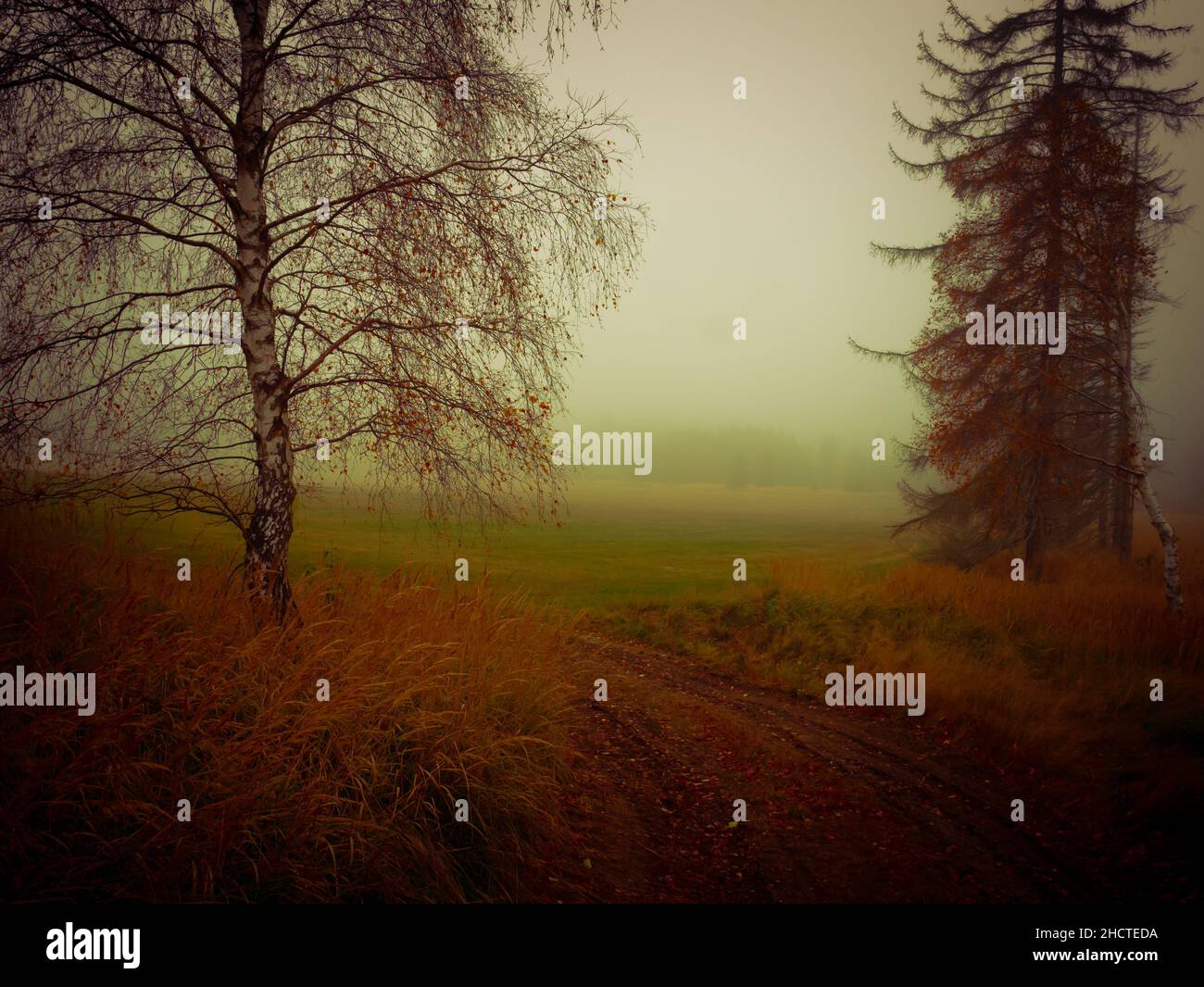 Gloomy landscape hi-res stock photography and images - Alamy