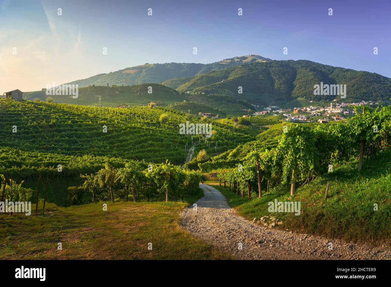 Vineyards and road. Prosecco Hills, Unesco World Heritage Site ...