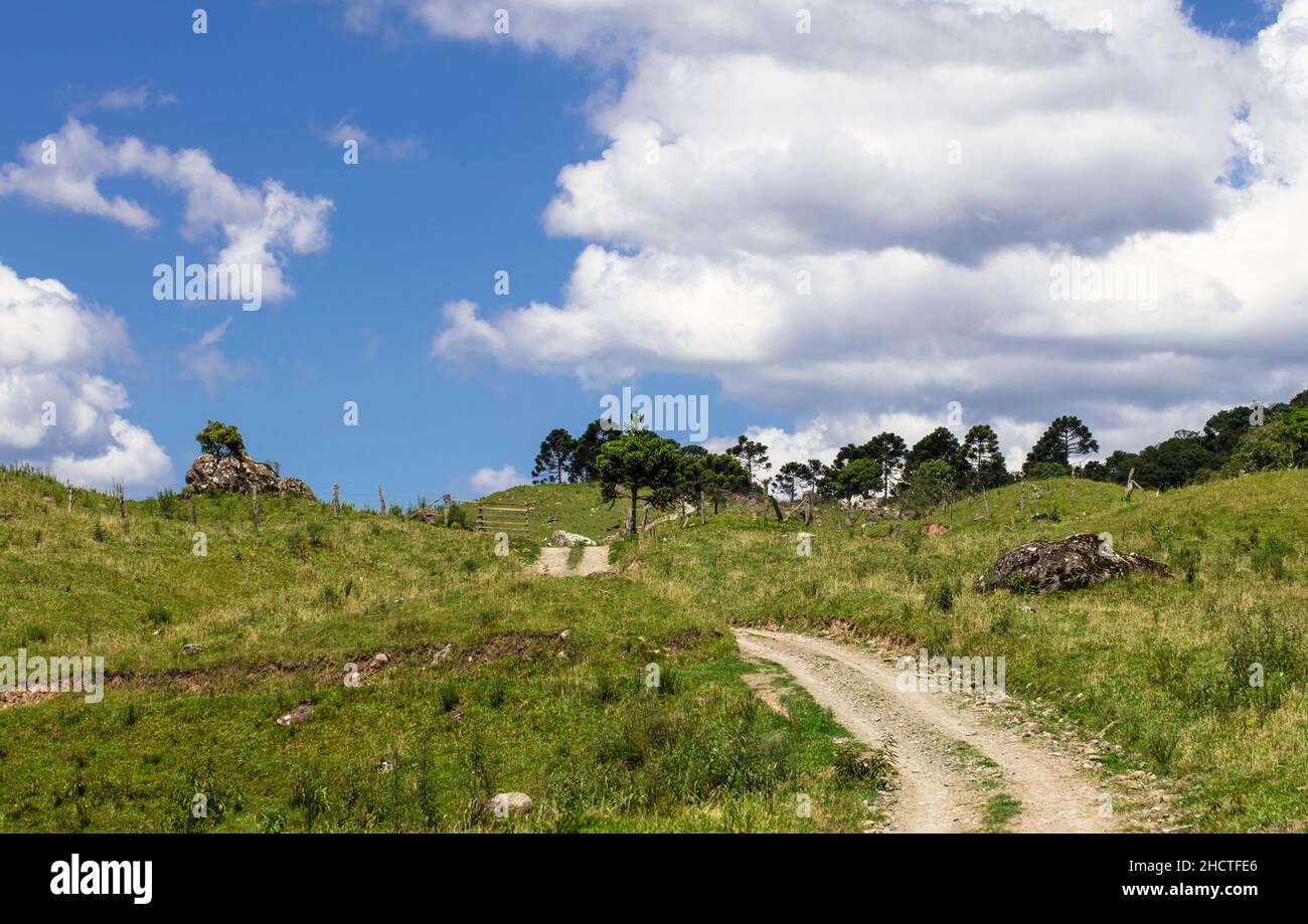 Rural landscape in southern Brazil Stock Photo - Alamy